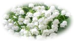 Зодия Телец: Характеристика - Чудеса.net